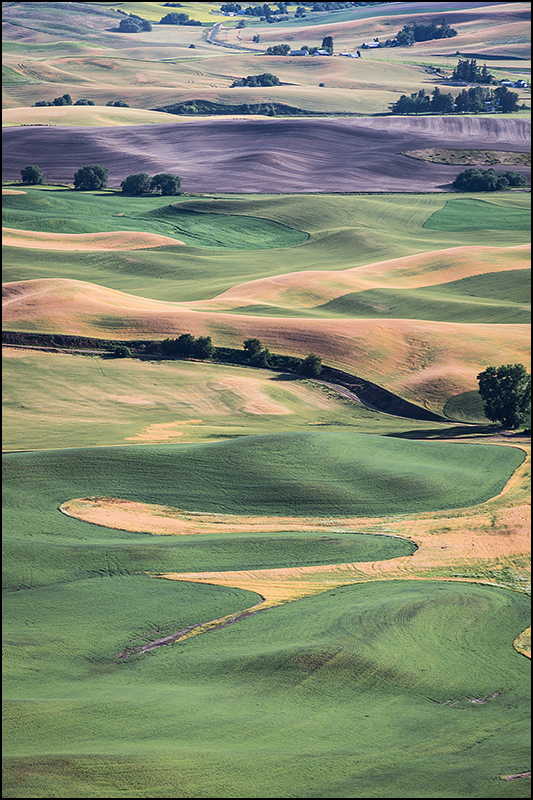 Steptoe Butte State Park