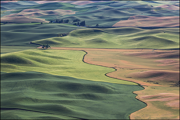 Steptoe Butte State Park