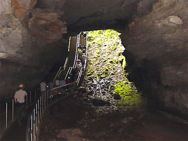 Mammoth Cave National Park
