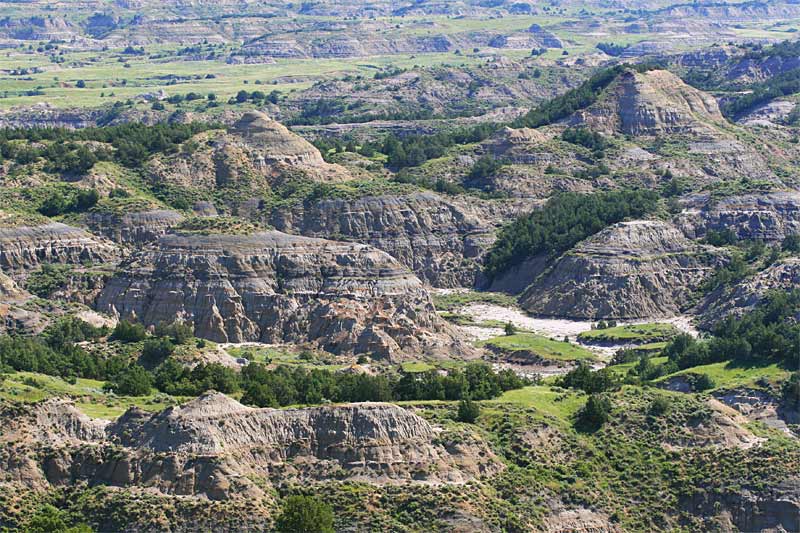 Theodore Roosevelt National Park