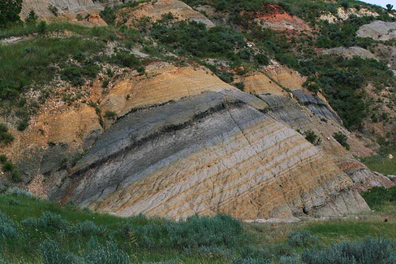 Theodore Roosevelt National Park